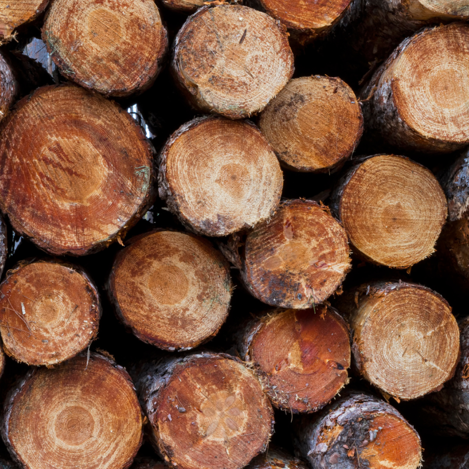 Les solutions de construction bois Savare, des solutions à impacts positifs